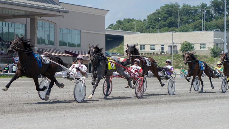 MSOA - Meadows Racing