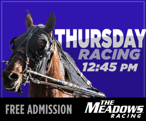 Thursday Racing - Meadows Racing