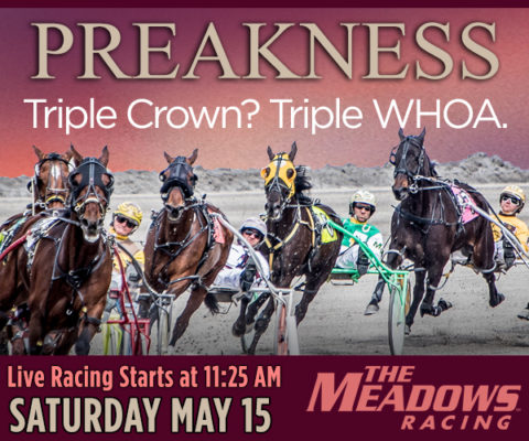 MSOA - Meadows Racing