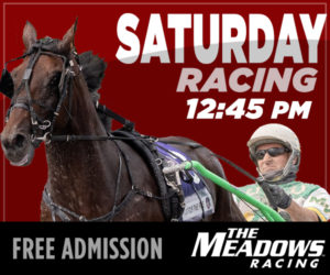 MSOA - Meadows Racing