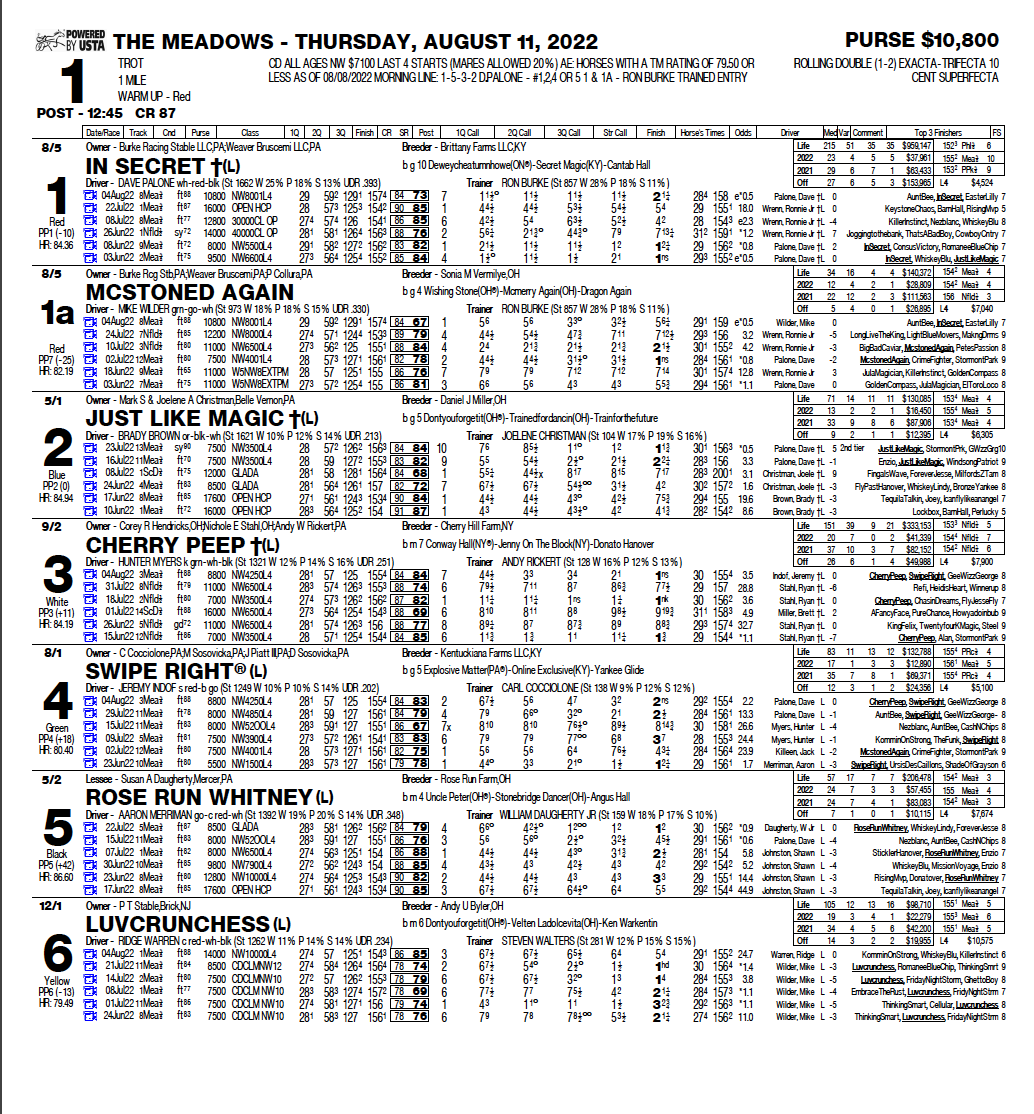 Race Program - Meadows Racing