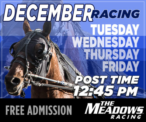 MSOA - Meadows Racing