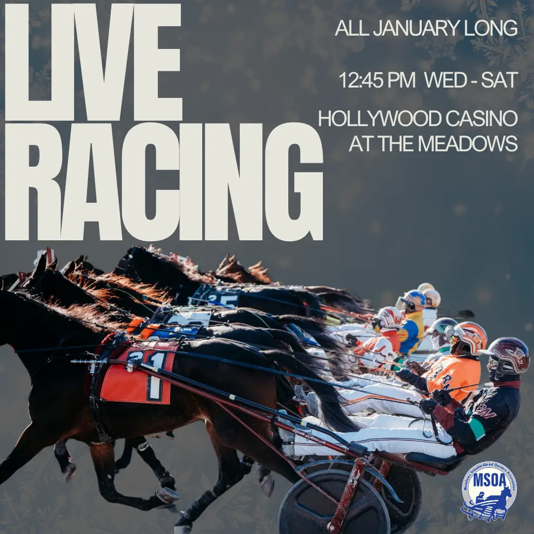 Live Racing - Meadows Racing